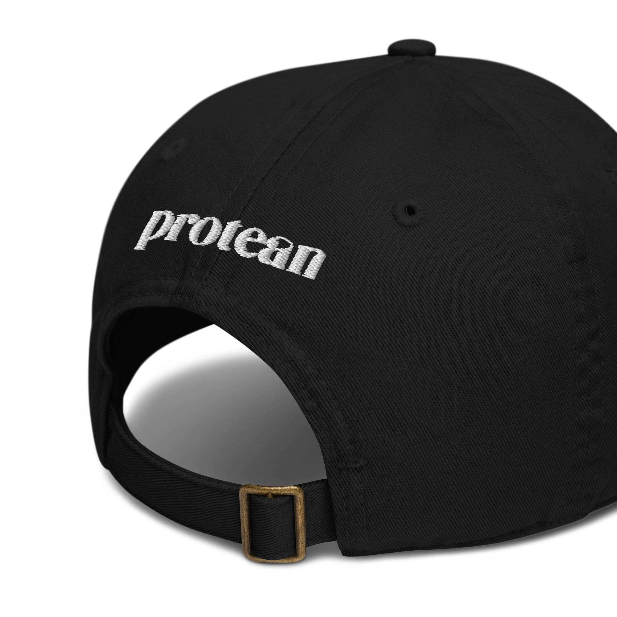Protean Cap • Protean Magazine